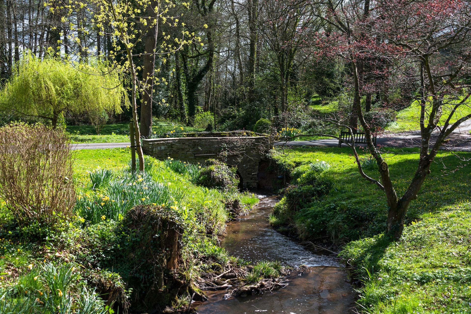 Welcome to Herefordshire Care Homes | Dulas Court | Ewyas Harold