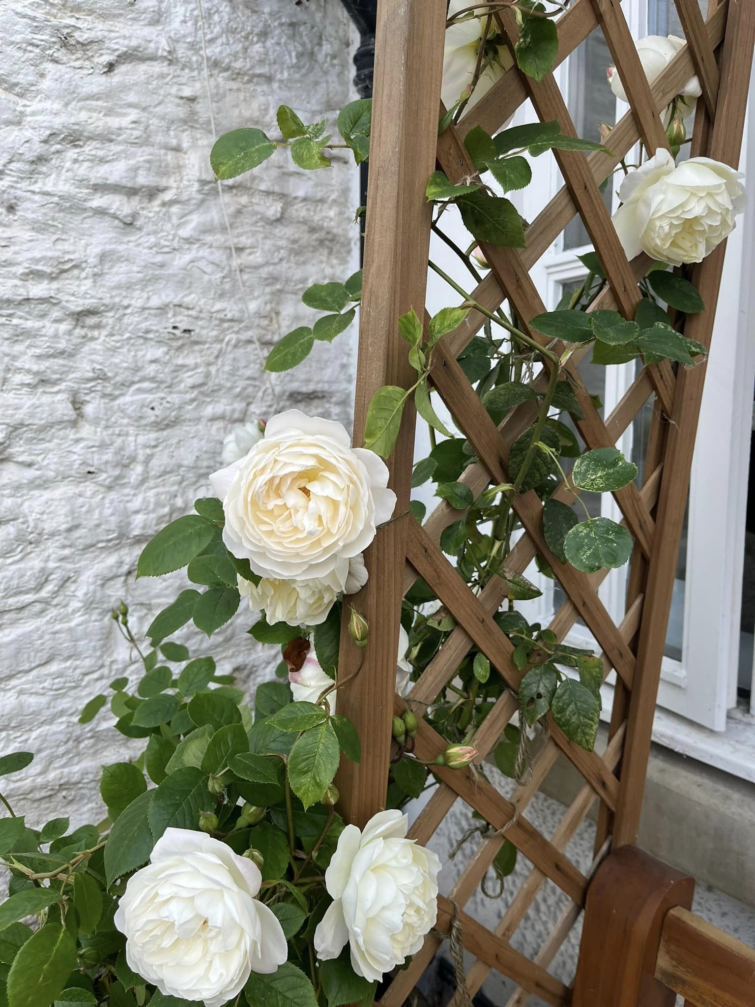 Welcome to Herefordshire Care Homes | Latest News